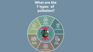 what are the 7 types of pollution?